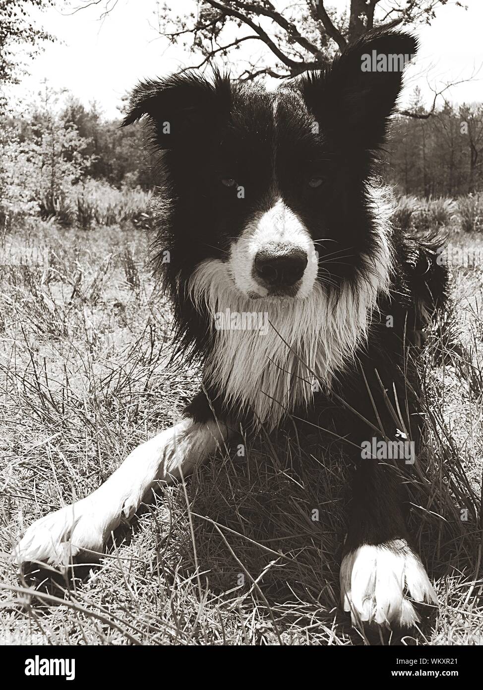 Full length border hi-res stock photography and images - Alamy