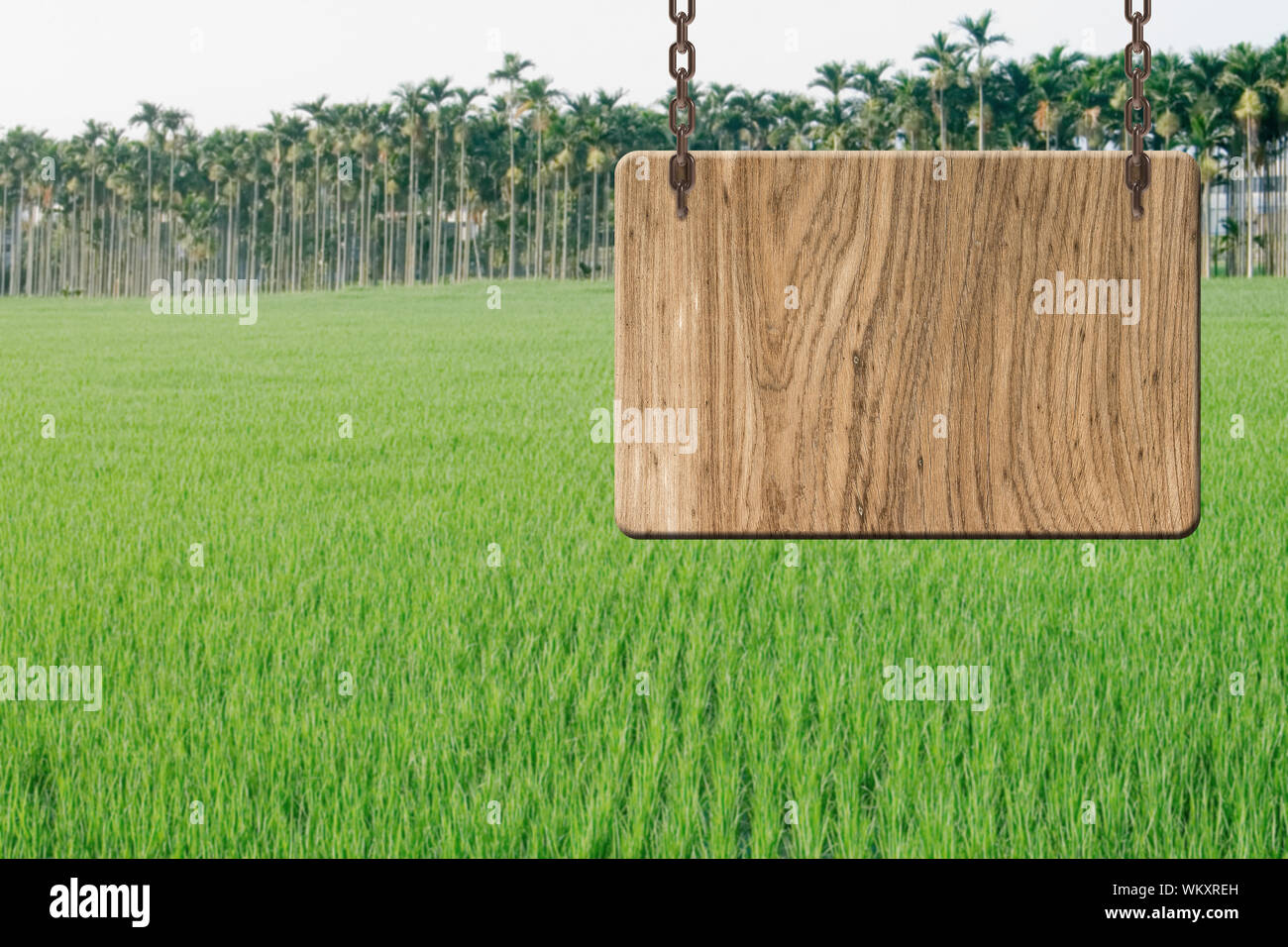Blank wooden sign on field of farm. Concept of rural, idyllic ...