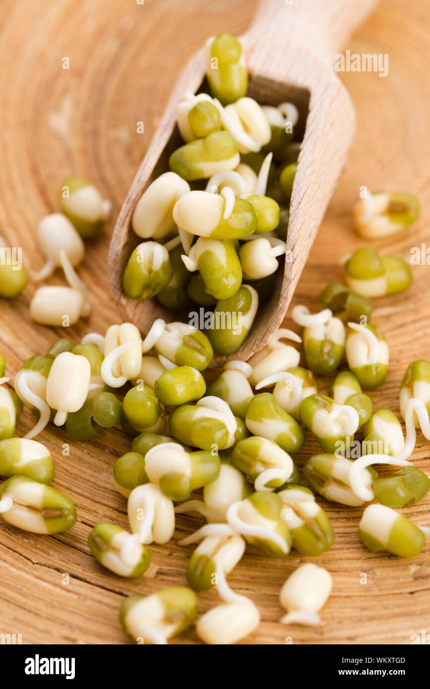 Sprouted mung beans Stock Photo - Alamy