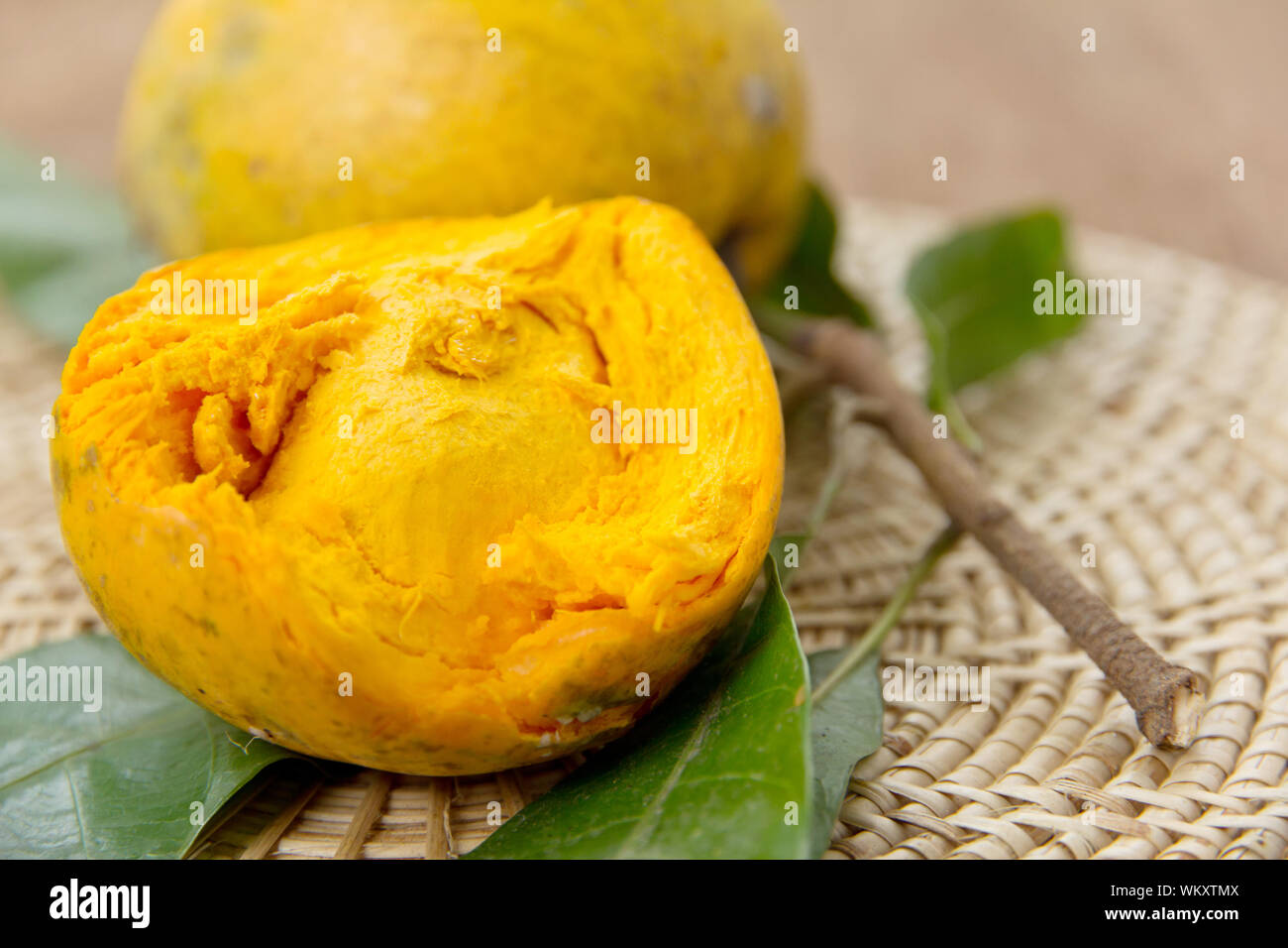 Canistel Fruit High Resolution Stock Photography and Images - Alamy