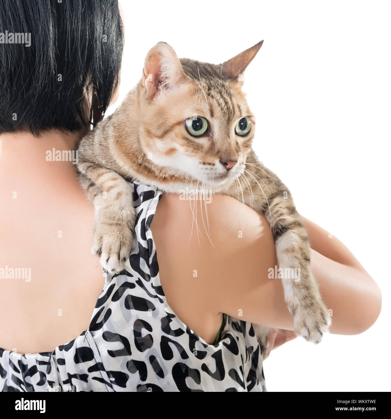Asian woman hold her cat, closeup portrait Stock Photo - Alamy