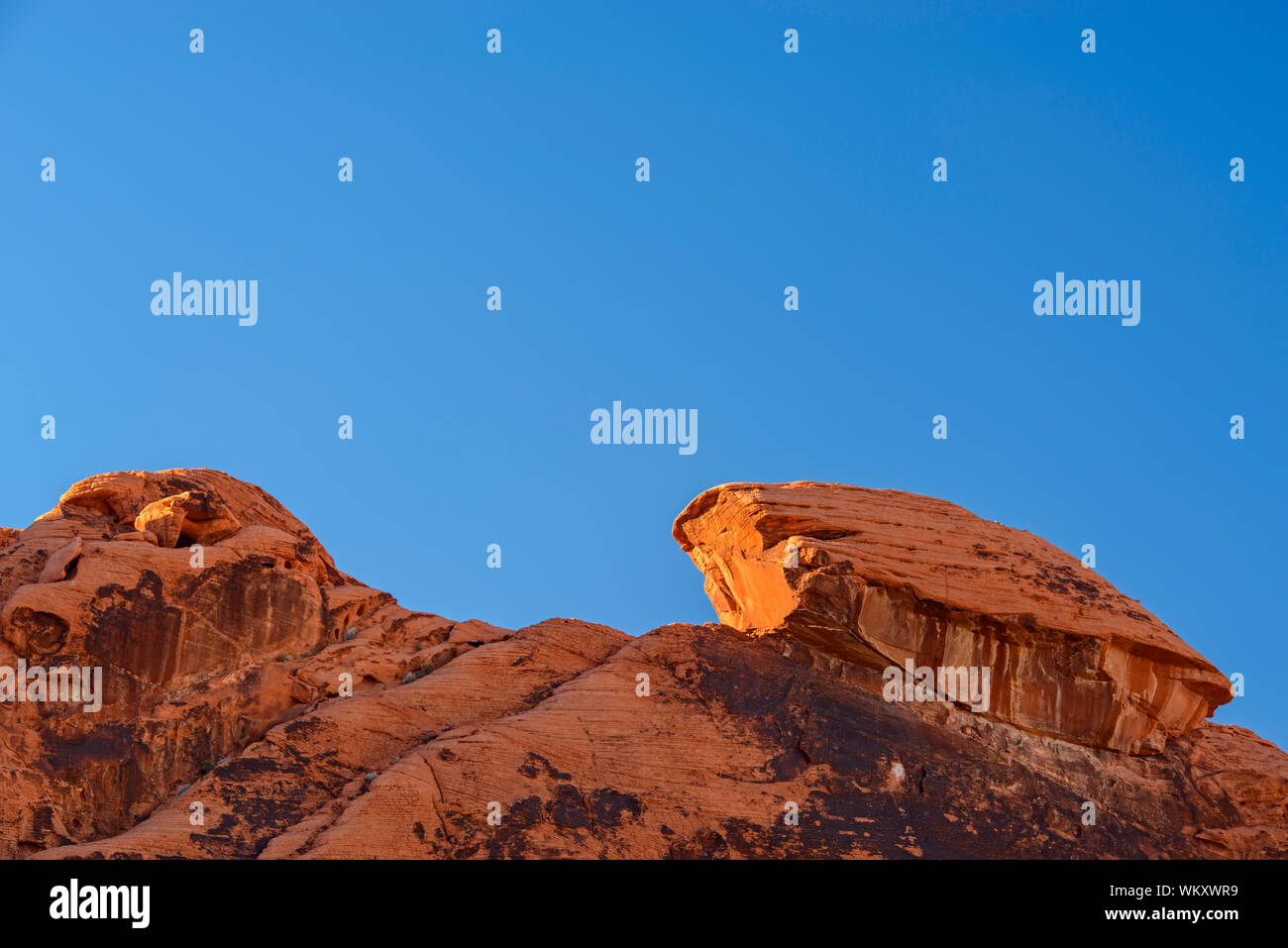 Weathered red rocks formations in the desert, Valley of Fire State Park ...