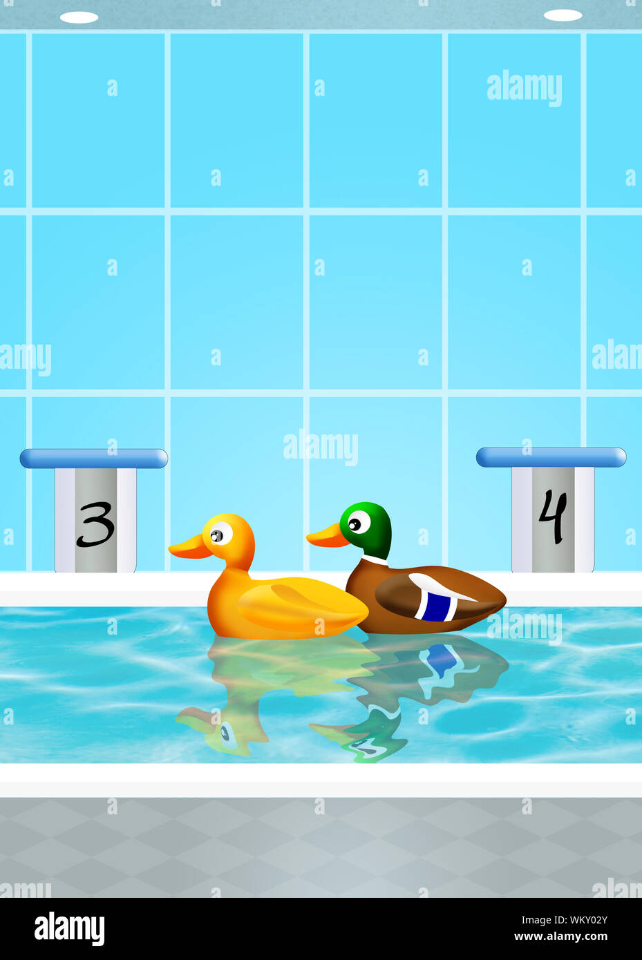 Ducks in the pool Stock Photo - Alamy