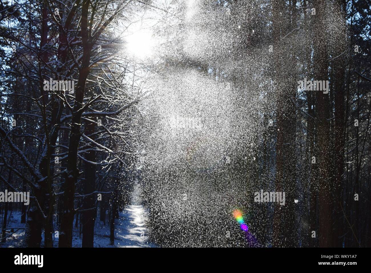 Wet snow hi-res stock photography and images - Alamy