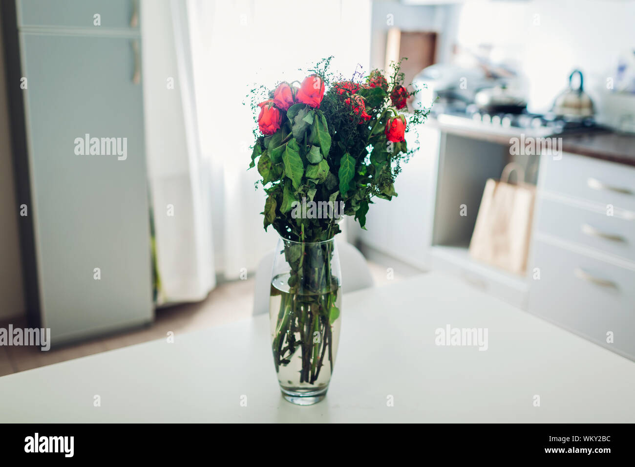 Bouquet of roses died in vase on kitchen. Wilted flowers left on table ...
