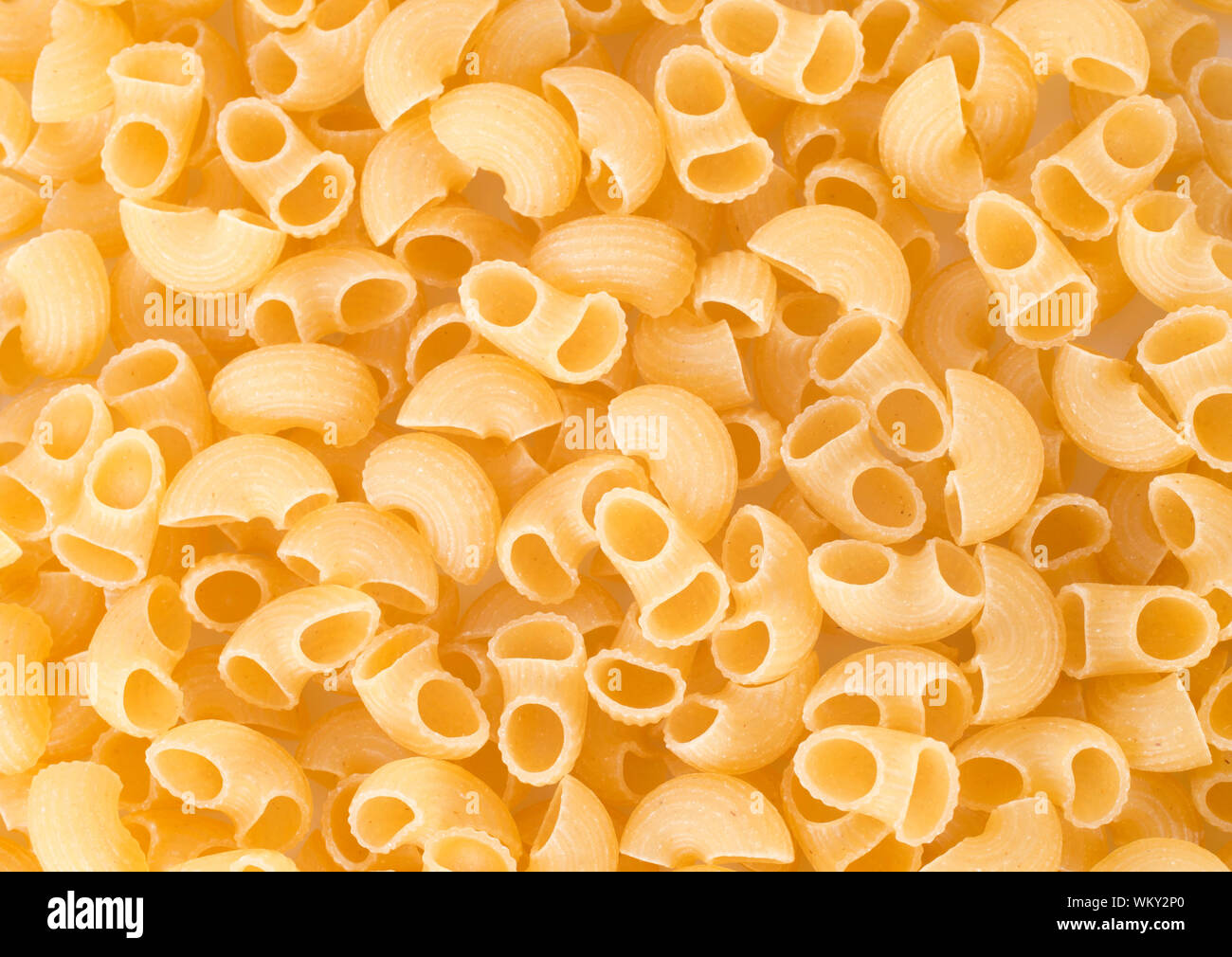 pasta shells in front of white background Stock Photo - Alamy