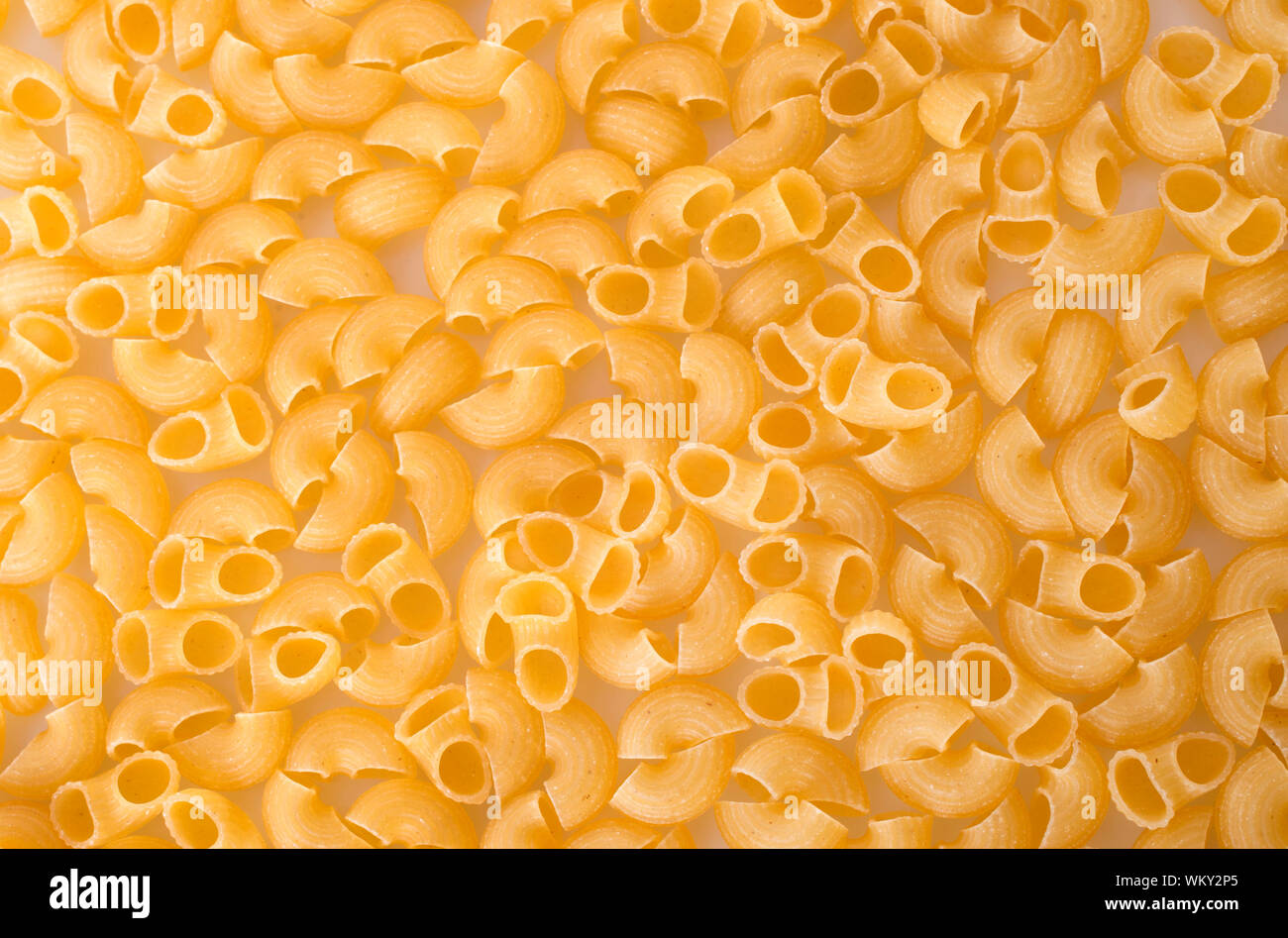 pasta shells in front of white background Stock Photo - Alamy