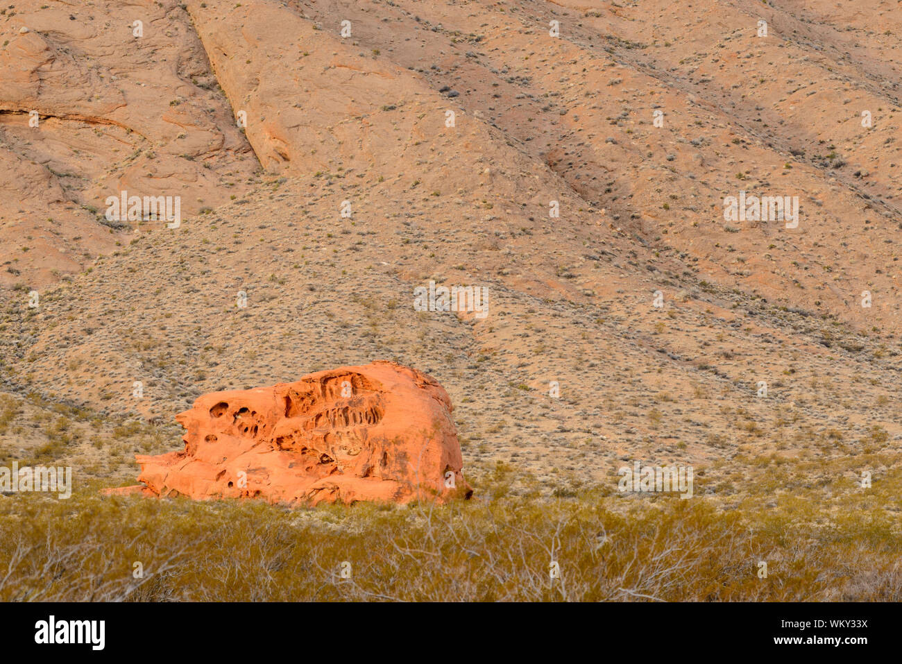 Weathered red rock formations in the desert, Valley of Fire State Park ...