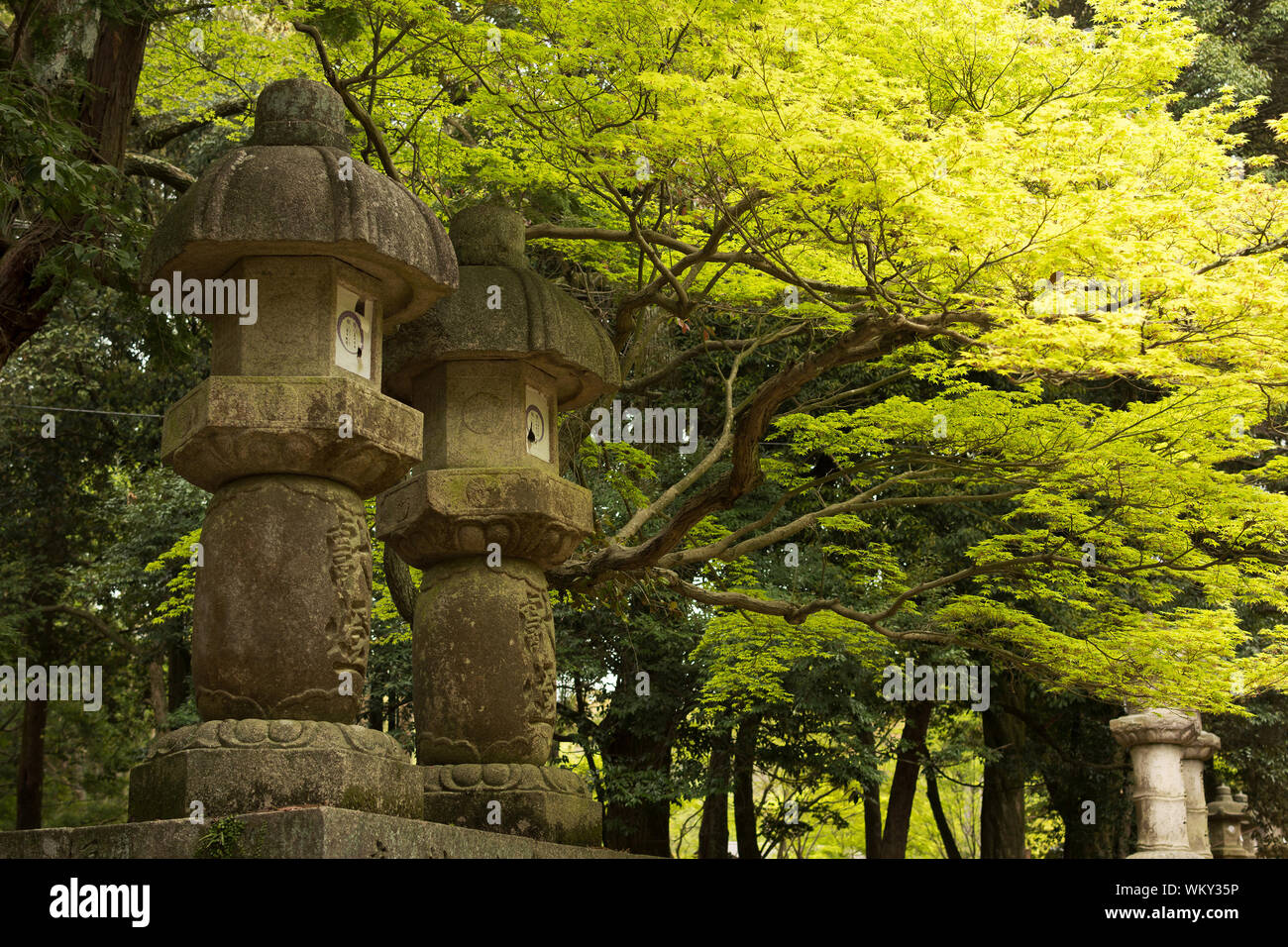 Stone lantern in Japanese garden Stock Photo - Alamy