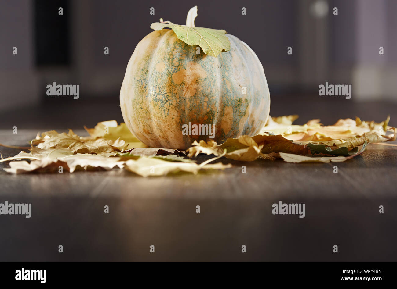 Halloween pumpkin at the hardwood floor with leave Stock Photo - Alamy