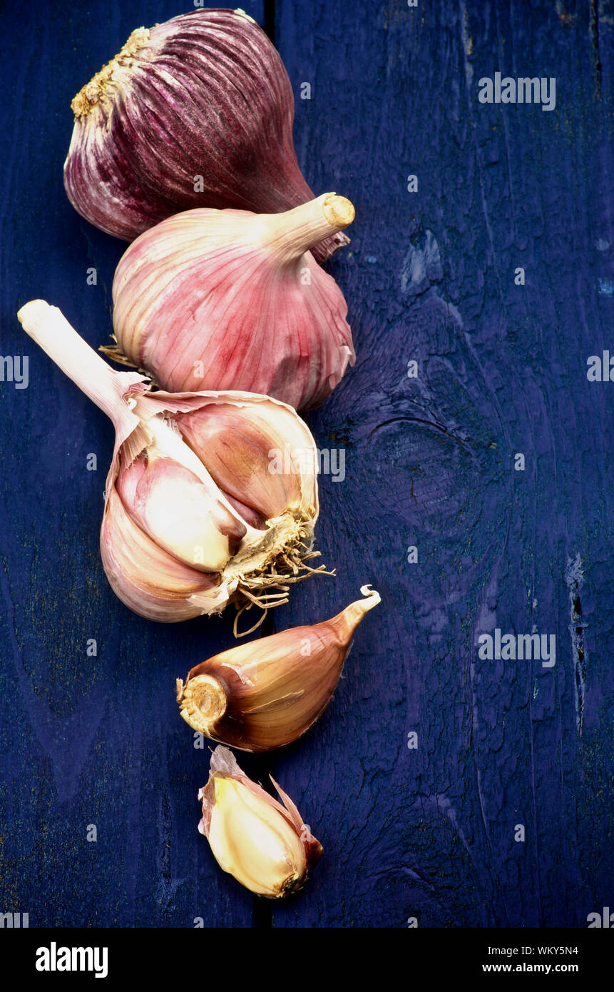Fresh Ripe Garlic Full Body and Slices In a Row isolated on Dark Blue ...