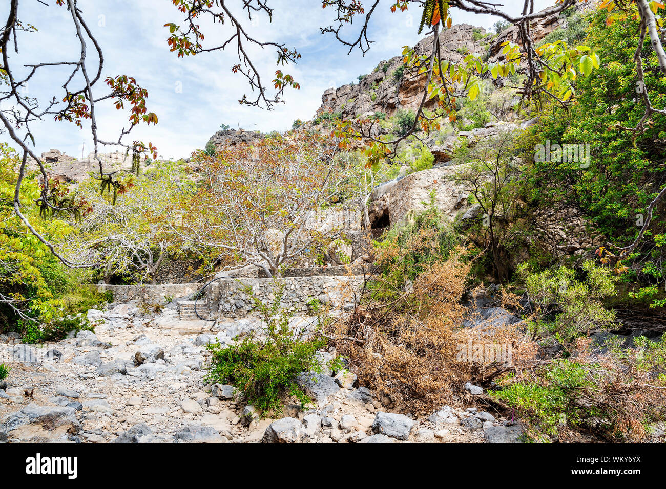 Image of riverbed Wadi Bani Habib in Oman Stock Photo - Alamy
