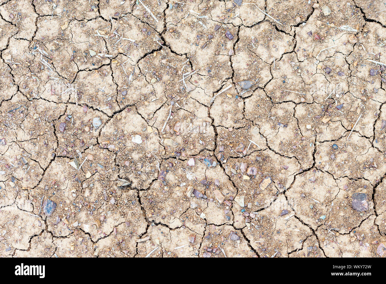 Image of parched ground in Tuscany, Italy Stock Photo - Alamy