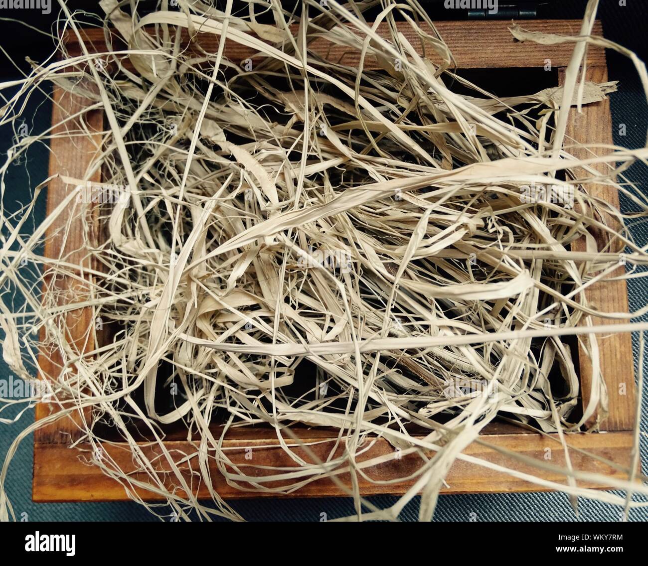 Wooden hidden hi-res stock photography and images - Alamy