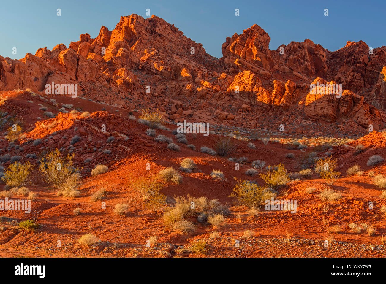Evening light on sandstone rock spires in the Seven Sisters area ...