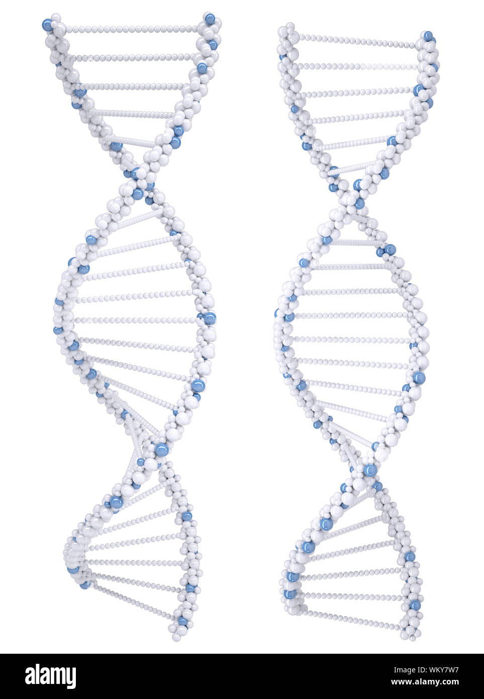 Illustration of white DNA chain. Isolated background Stock Photo - Alamy