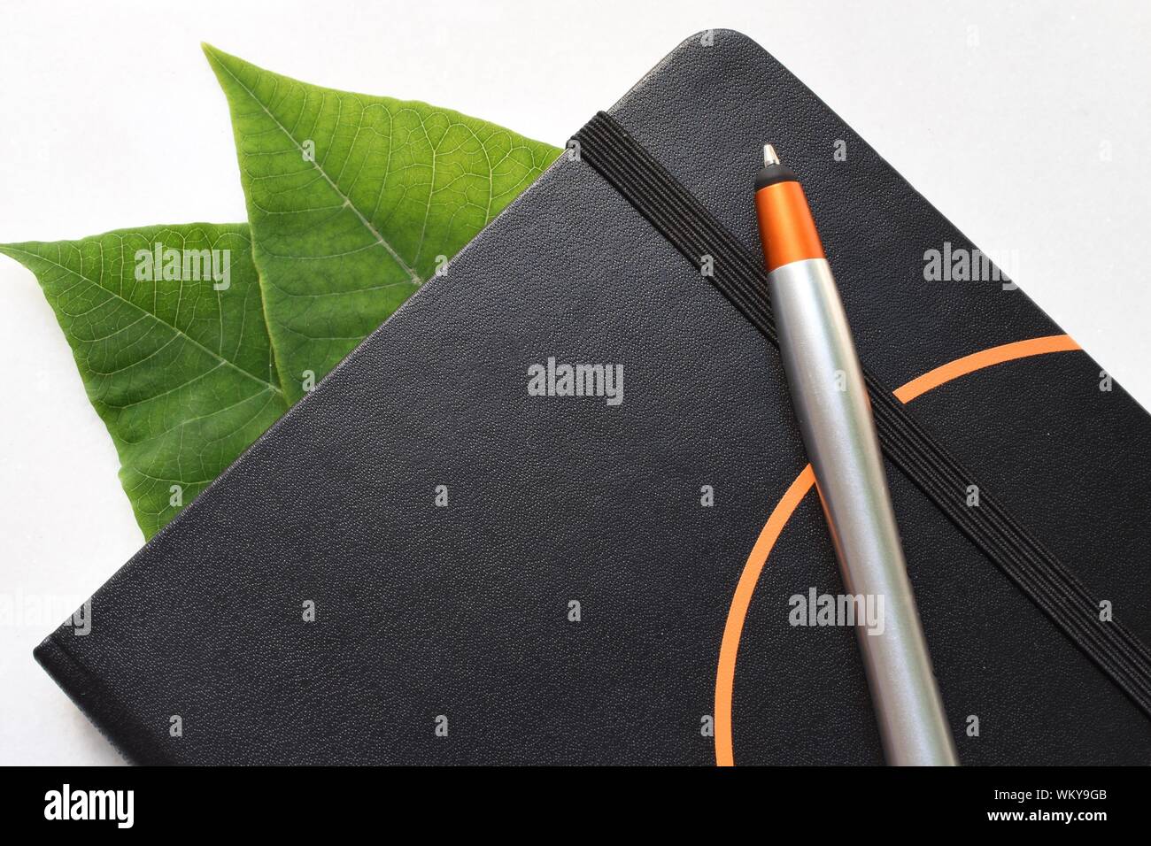 Diary leaf hi-res stock photography and images - Alamy