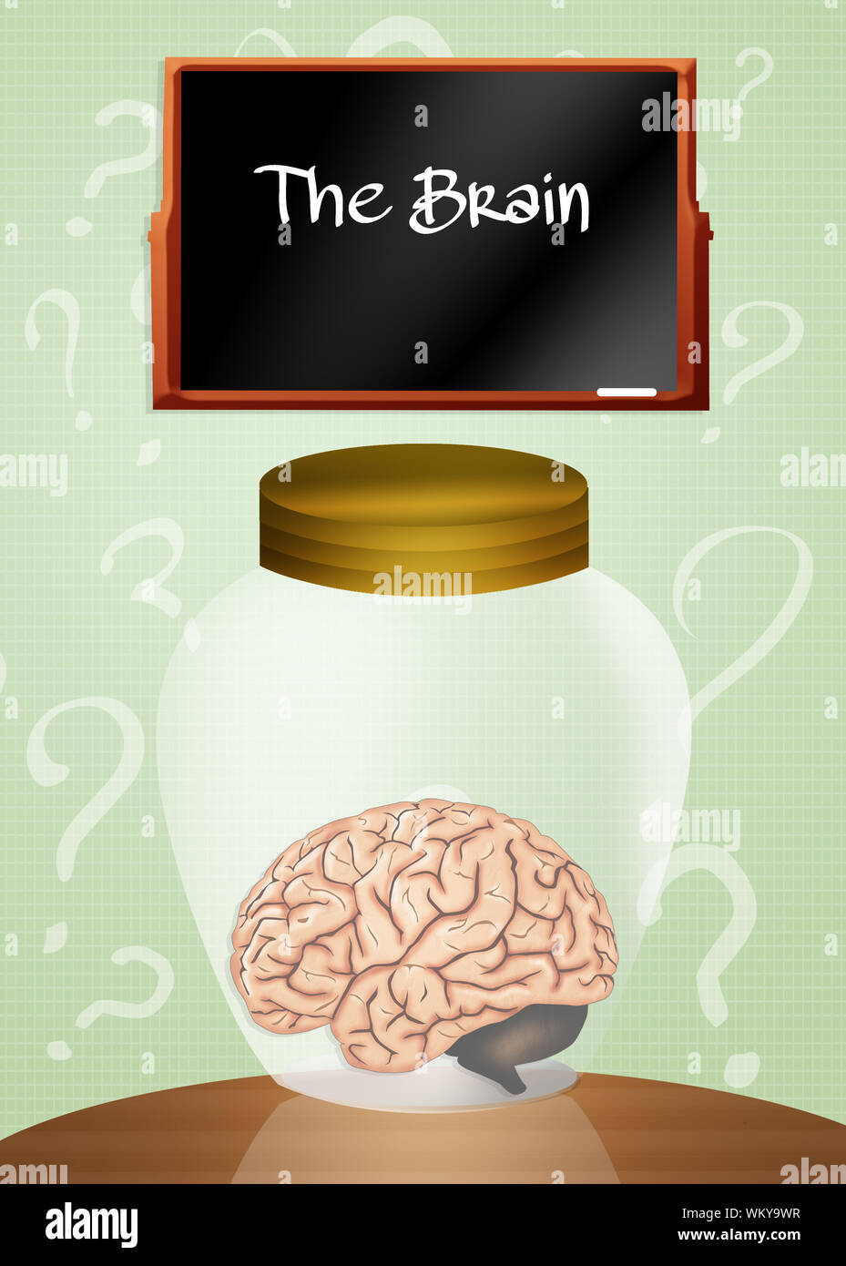 brain in the jar Stock Photo - Alamy