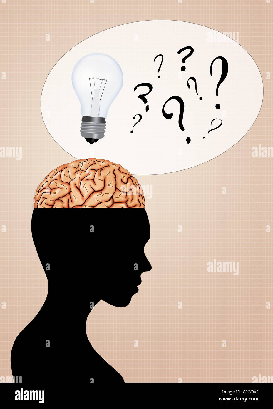 Human Brain Intelligence Stock Photo - Alamy