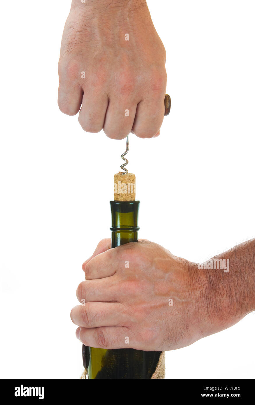 pulling corkscrew cork from the bottle isolated on white background ...