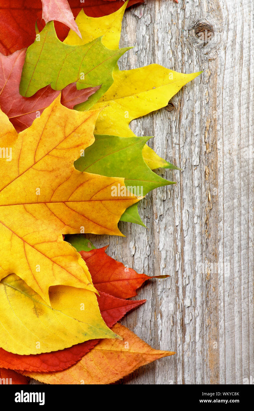 Autumn fall leafs frame background border rustic hi-res stock ...
