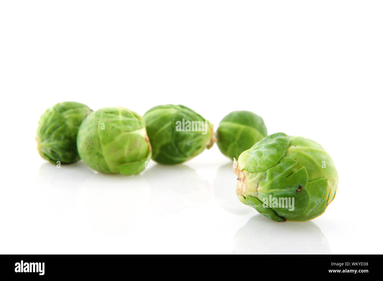 Brussels sprouts vegetables in studio with white background Stock Photo ...