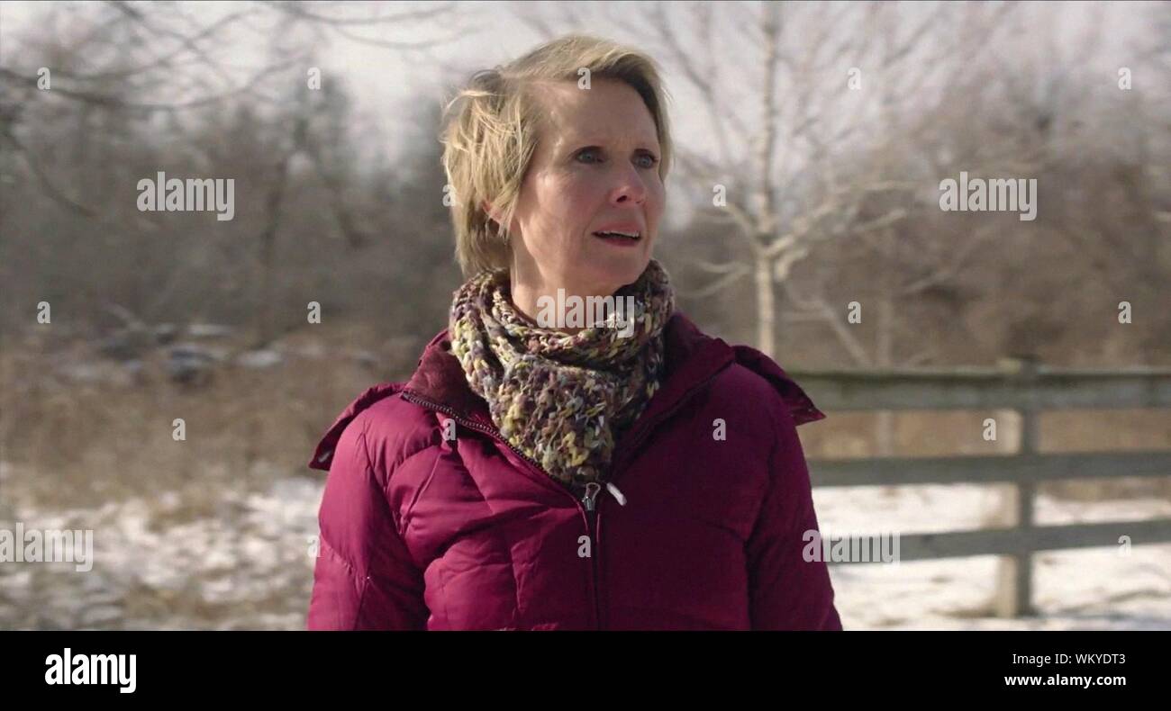 THE PARTING GLASS, Cynthia Nixon, 2018. © Sony Pictures / courtesy ...