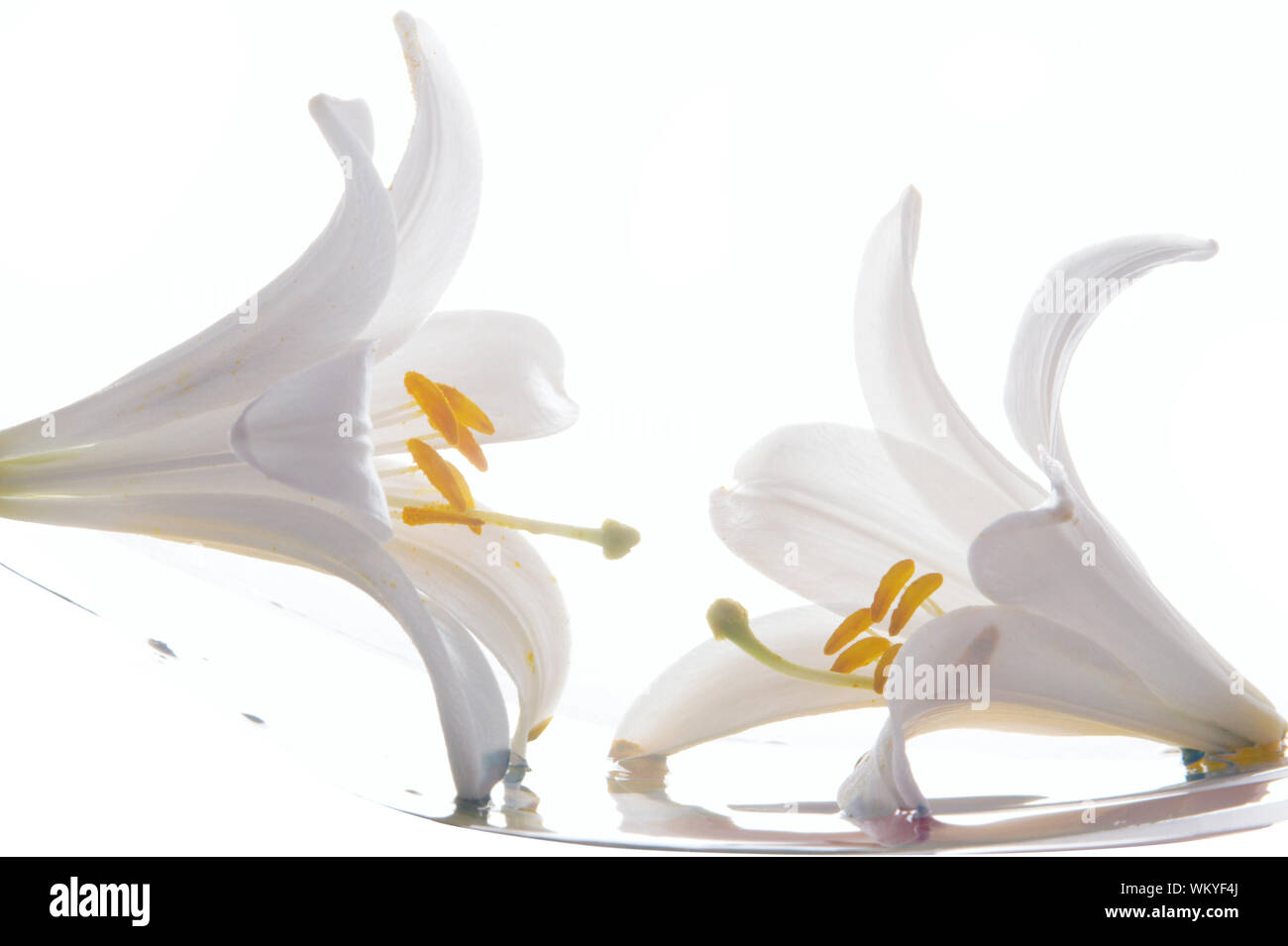 The abstract image from three colors on a white background Stock Photo ...