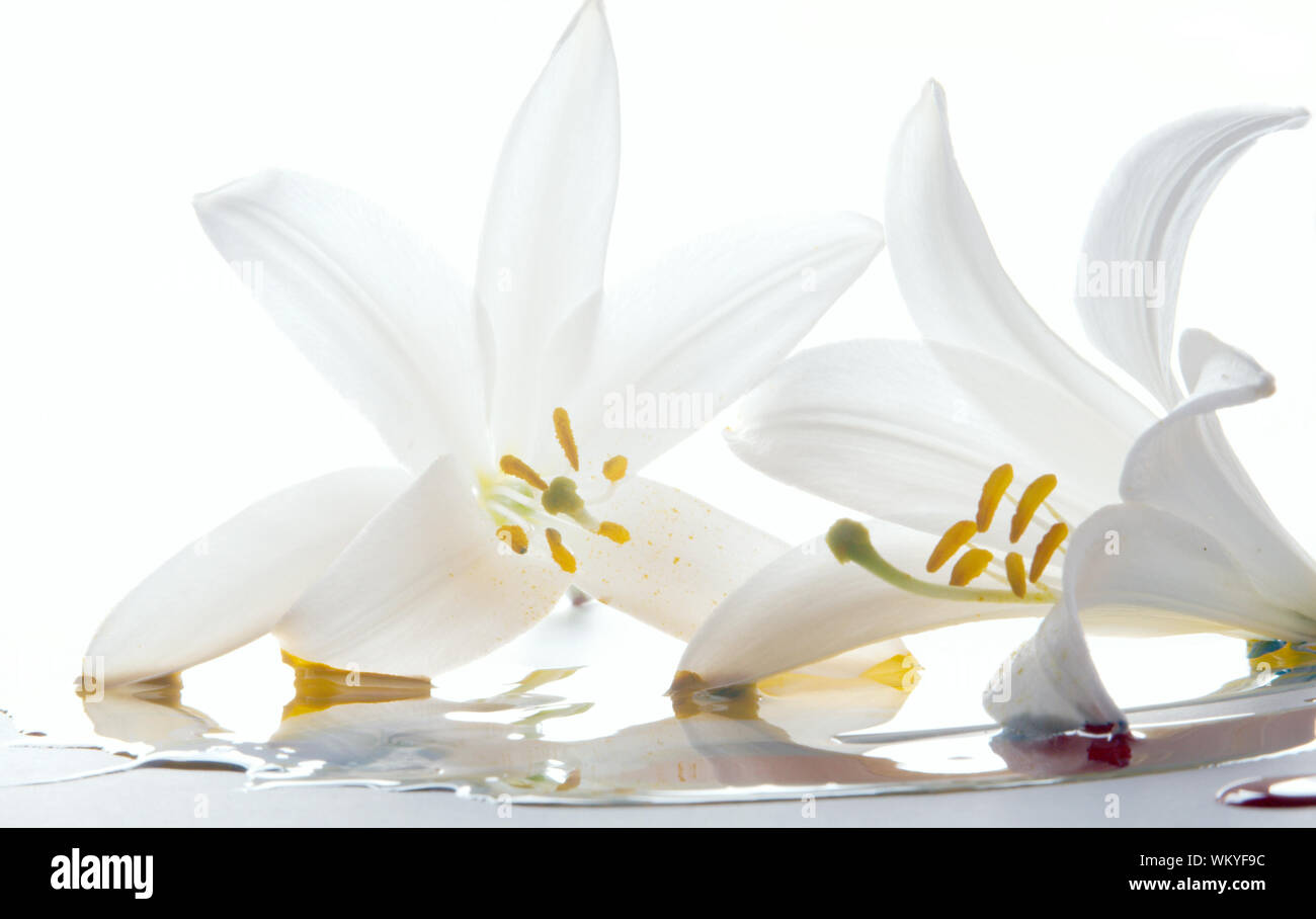The abstract image from three colors on a white background Stock Photo ...