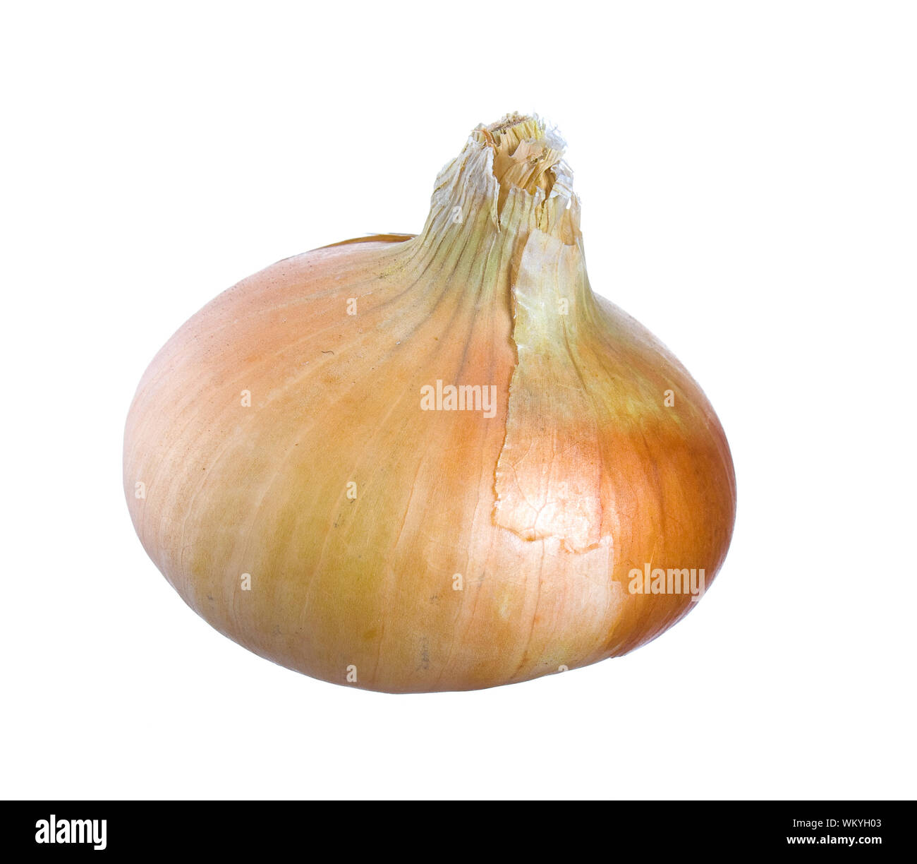 onion isolated on white background Stock Photo - Alamy