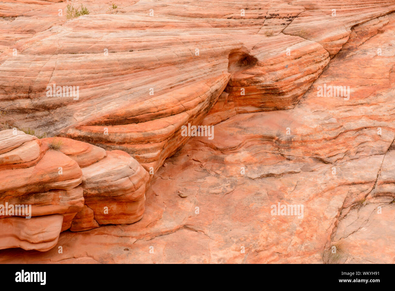 Evening light on sandstone rock spires in the Seven Sisters area ...