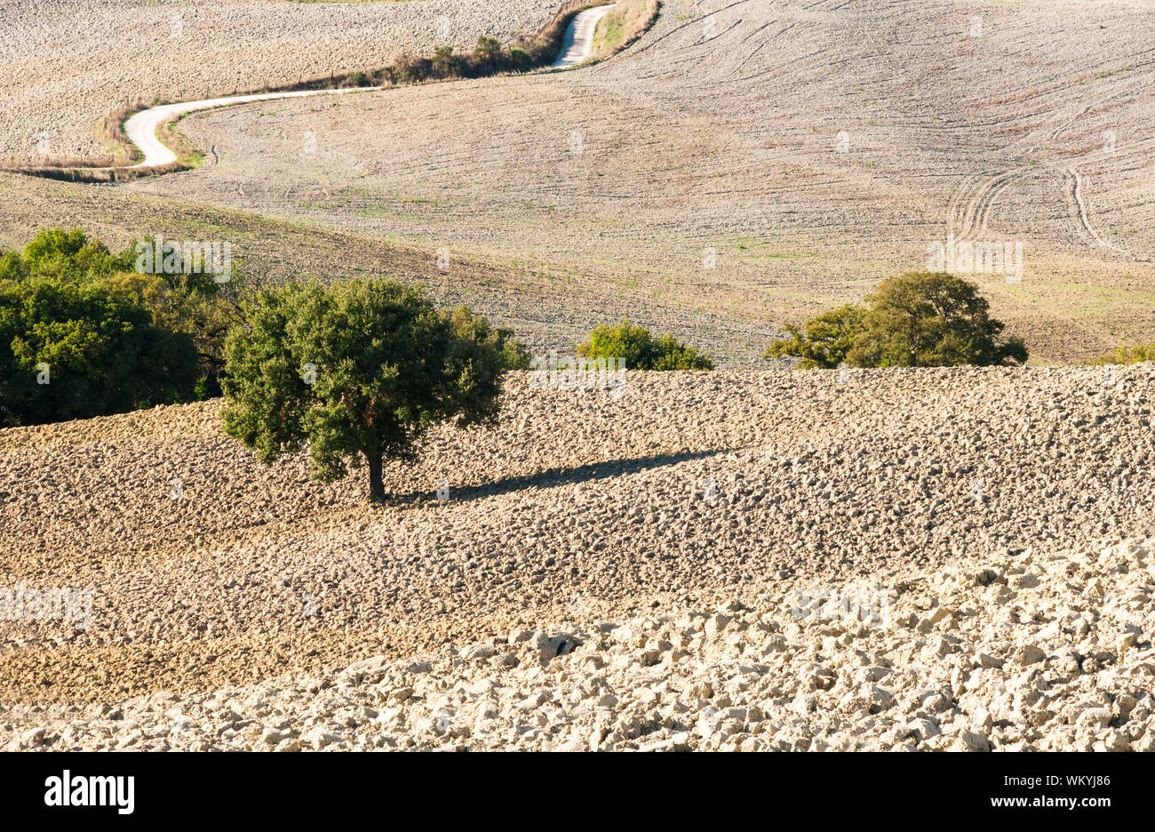 Autumn scenic landscape in Tuscany, Italy Stock Photo - Alamy