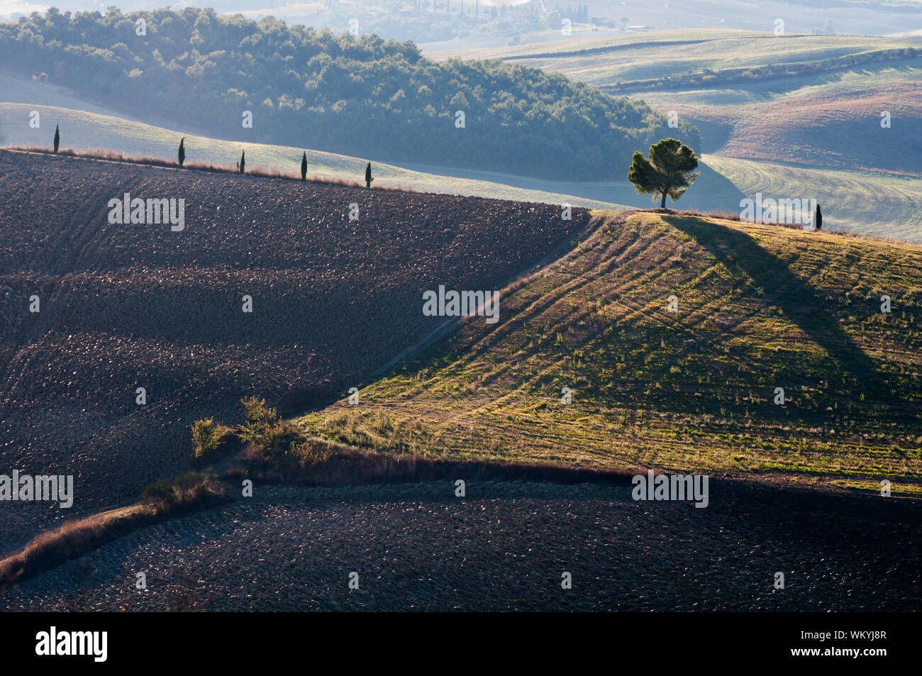 Autumn scenic landscape in Tuscany, Italy Stock Photo - Alamy