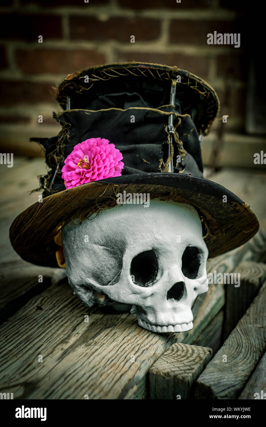 Scary jawless Halloween skull wearing old distressed top hat Stock ...