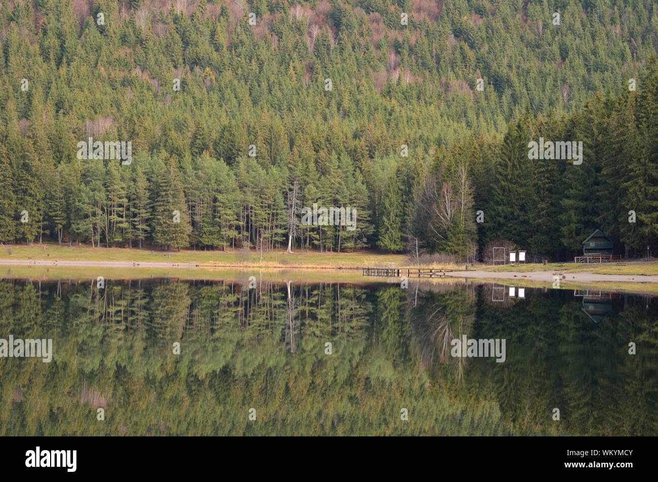 Pine trees at lake hi-res stock photography and images - Alamy
