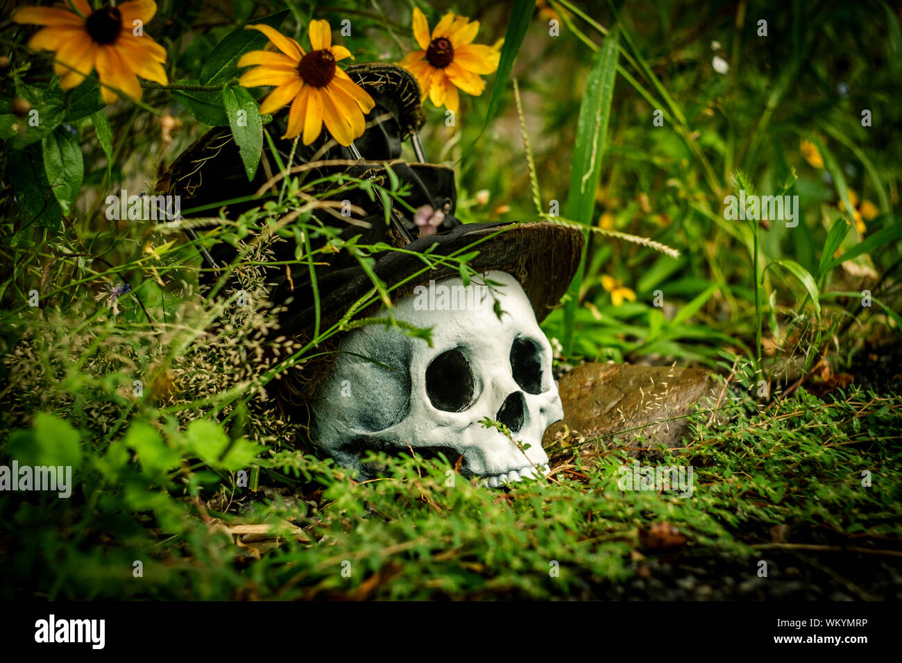 Scary jawless Halloween skull wearing old distressed top hat Stock ...
