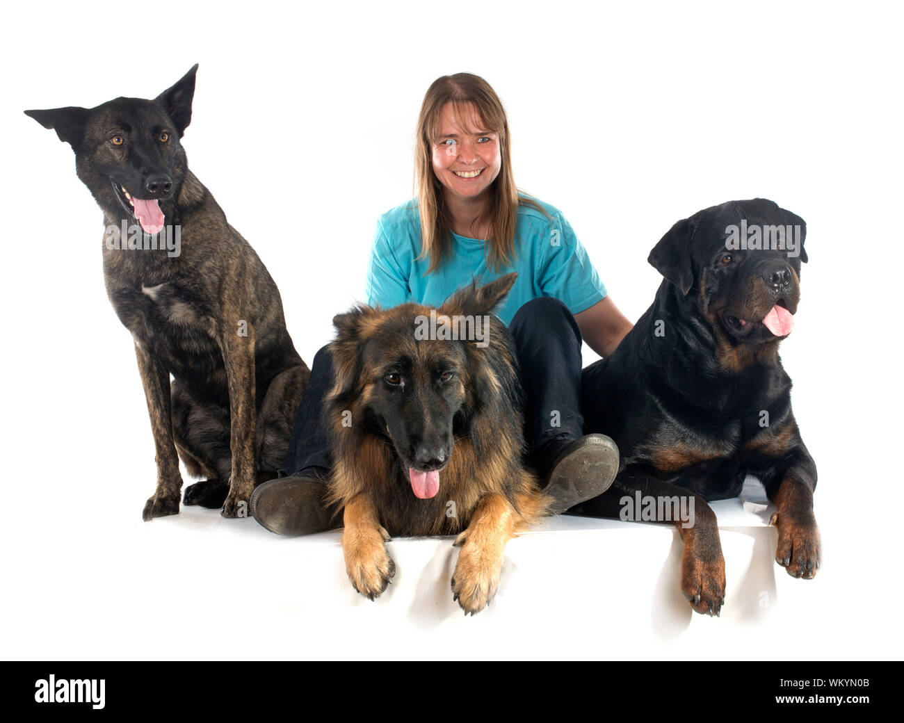 Rottweiler And German Shepherd Together