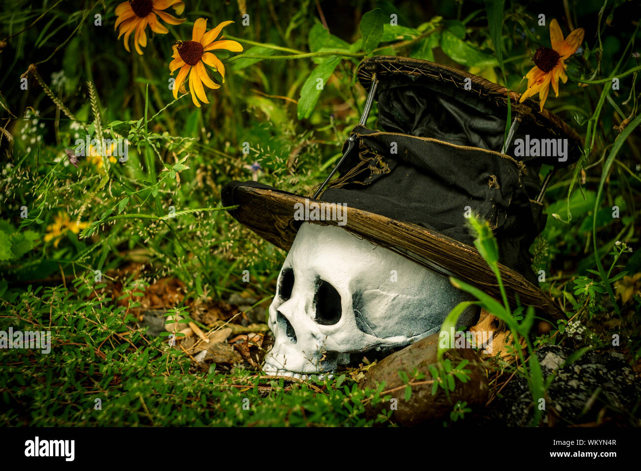 Scary jawless Halloween skull wearing old distressed top hat Stock ...