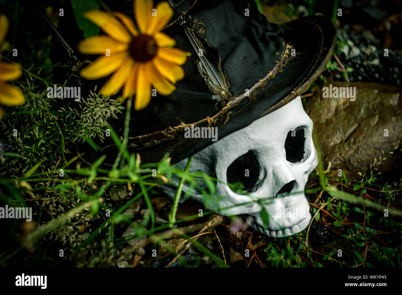 Scary jawless Halloween skull wearing old distressed top hat Stock ...