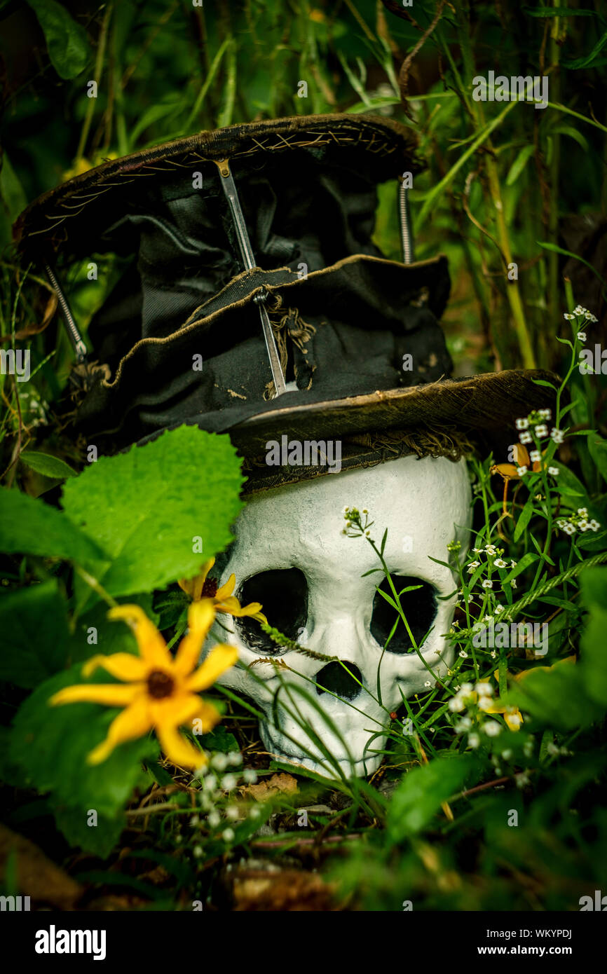 Scary jawless Halloween skull wearing old distressed top hat Stock ...