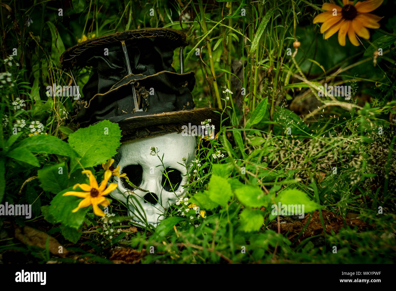 Scary jawless Halloween skull wearing old distressed top hat Stock ...