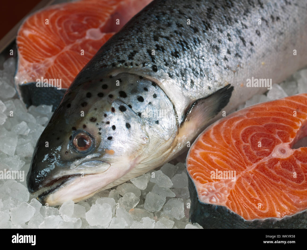Fresh red fish on ice Stock Photo - Alamy