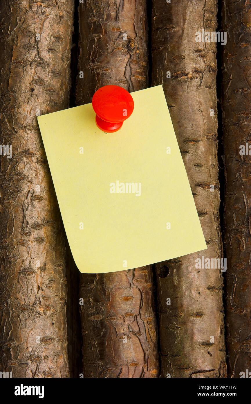 A piece of paper pinned the button on the board Stock Photo - Alamy