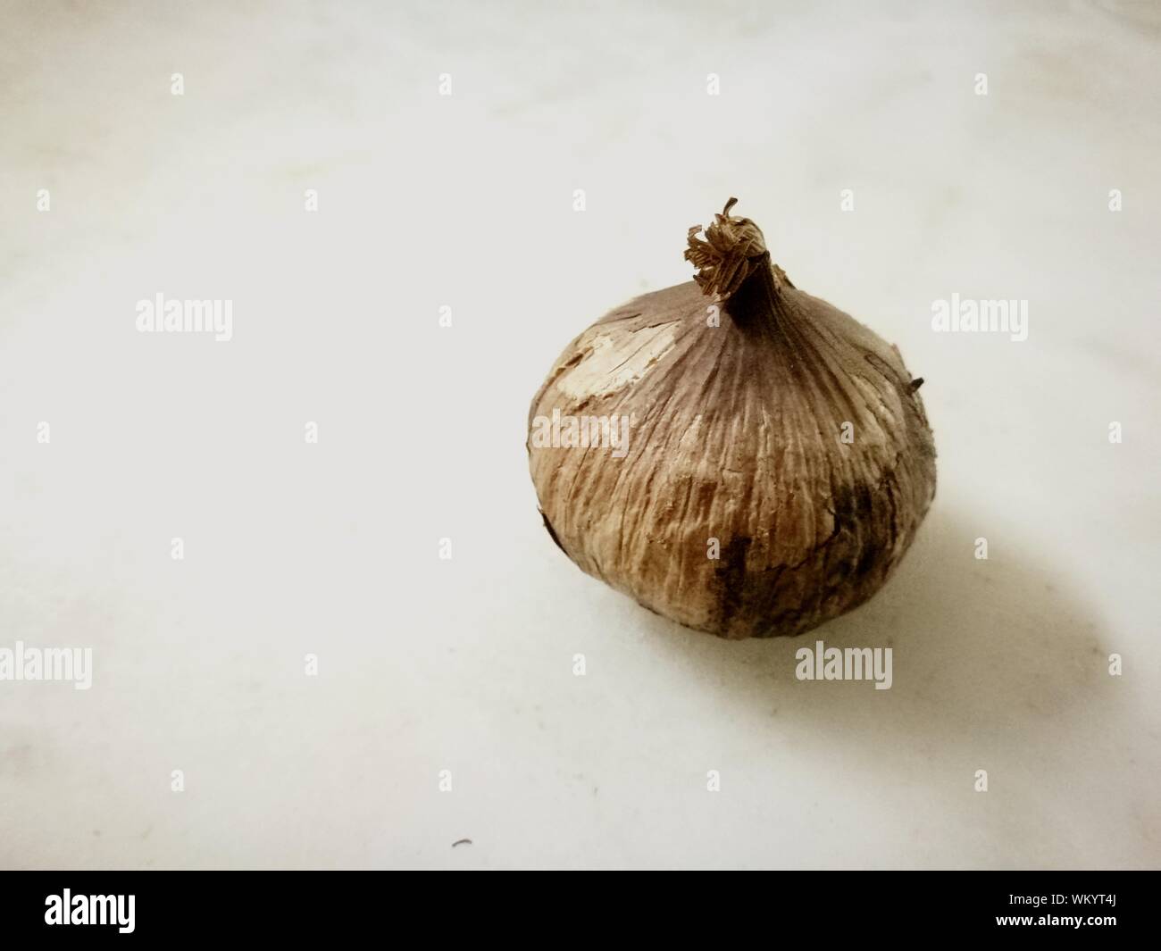 Rotten onion hi-res stock photography and images - Alamy
