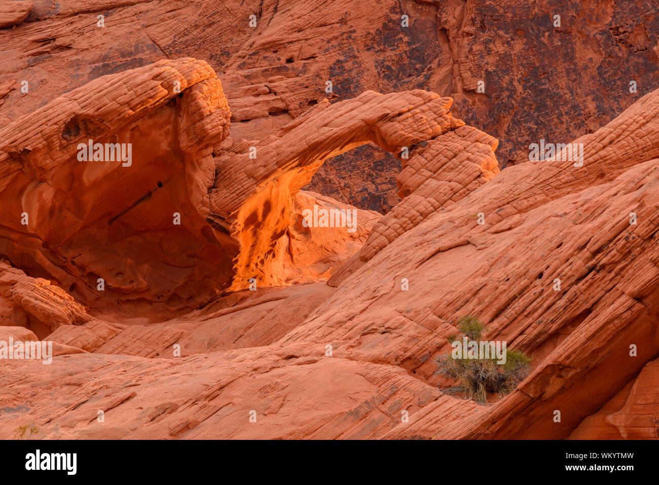 Fire Canyon, Valley of Fire State Park, Nevada, USA Stock Photo - Alamy