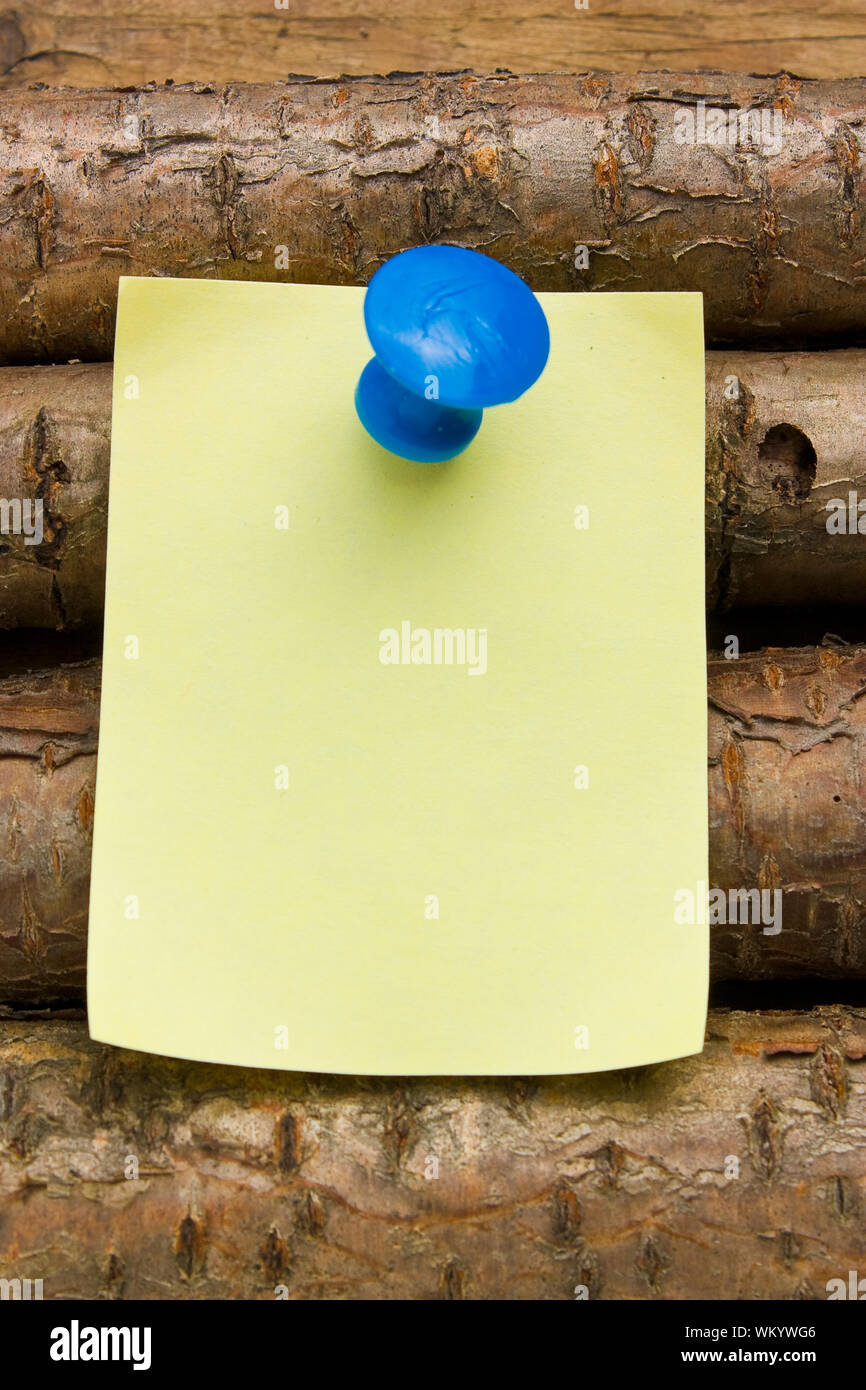 A piece of paper pinned the button on the board Stock Photo - Alamy