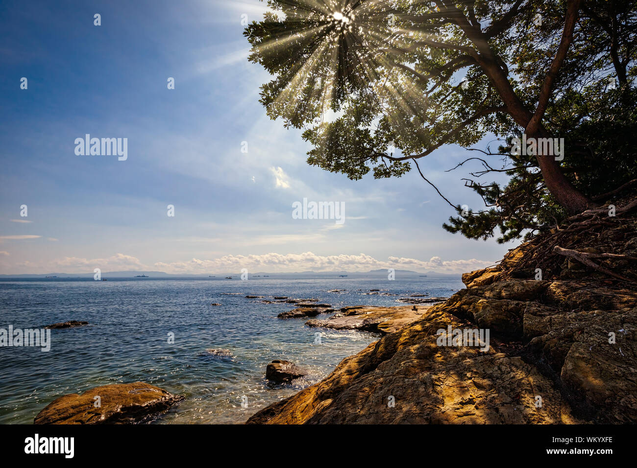 Looking out at the ship traffic passing through Tokyo Bay from Uraga ...