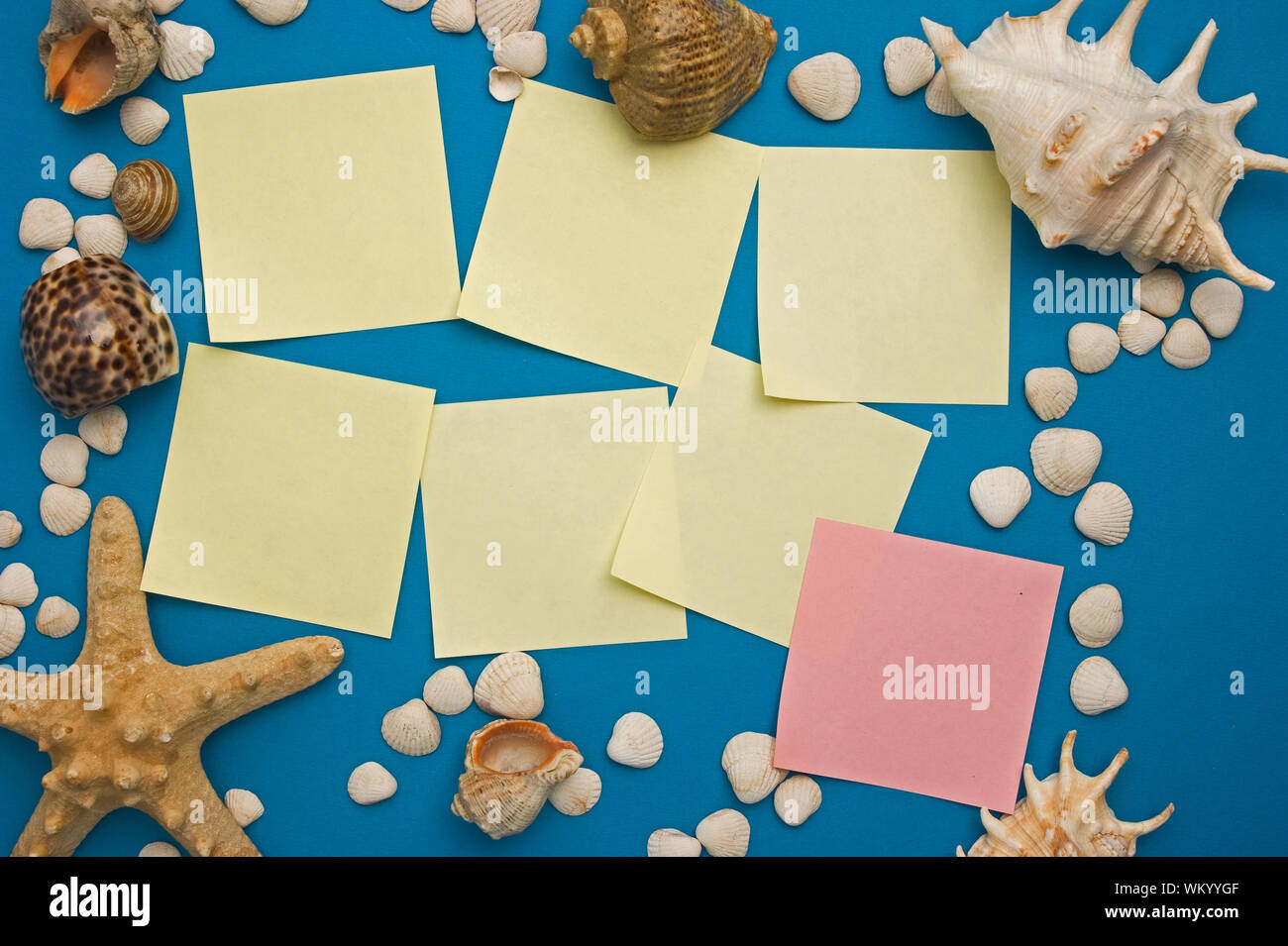 Calendar for the week is framed seashells Stock Photo - Alamy