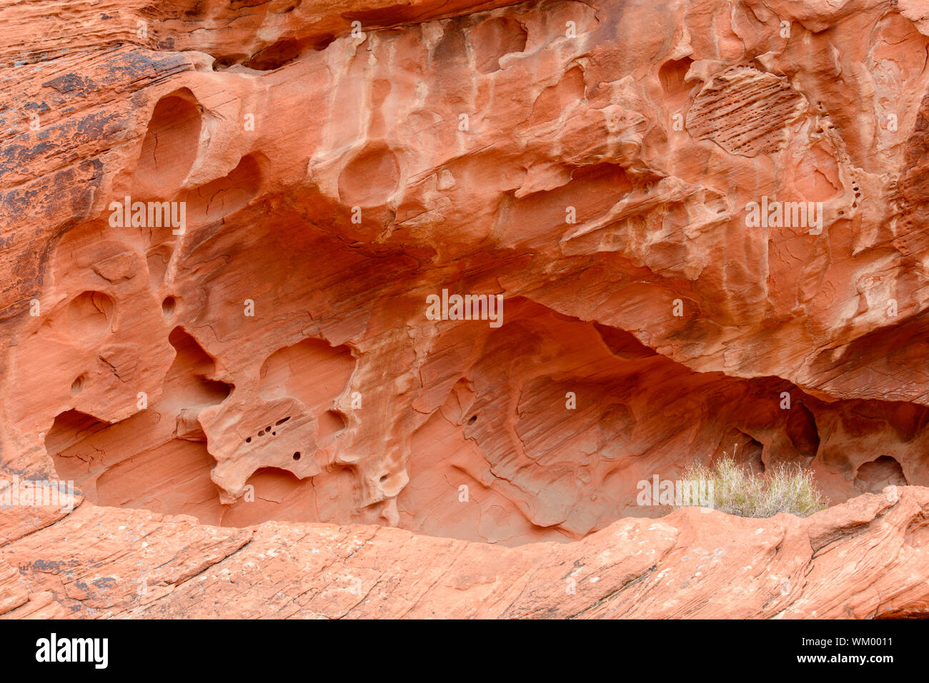 Weathered red rock formations in the desert, Valley of Fire State Park ...
