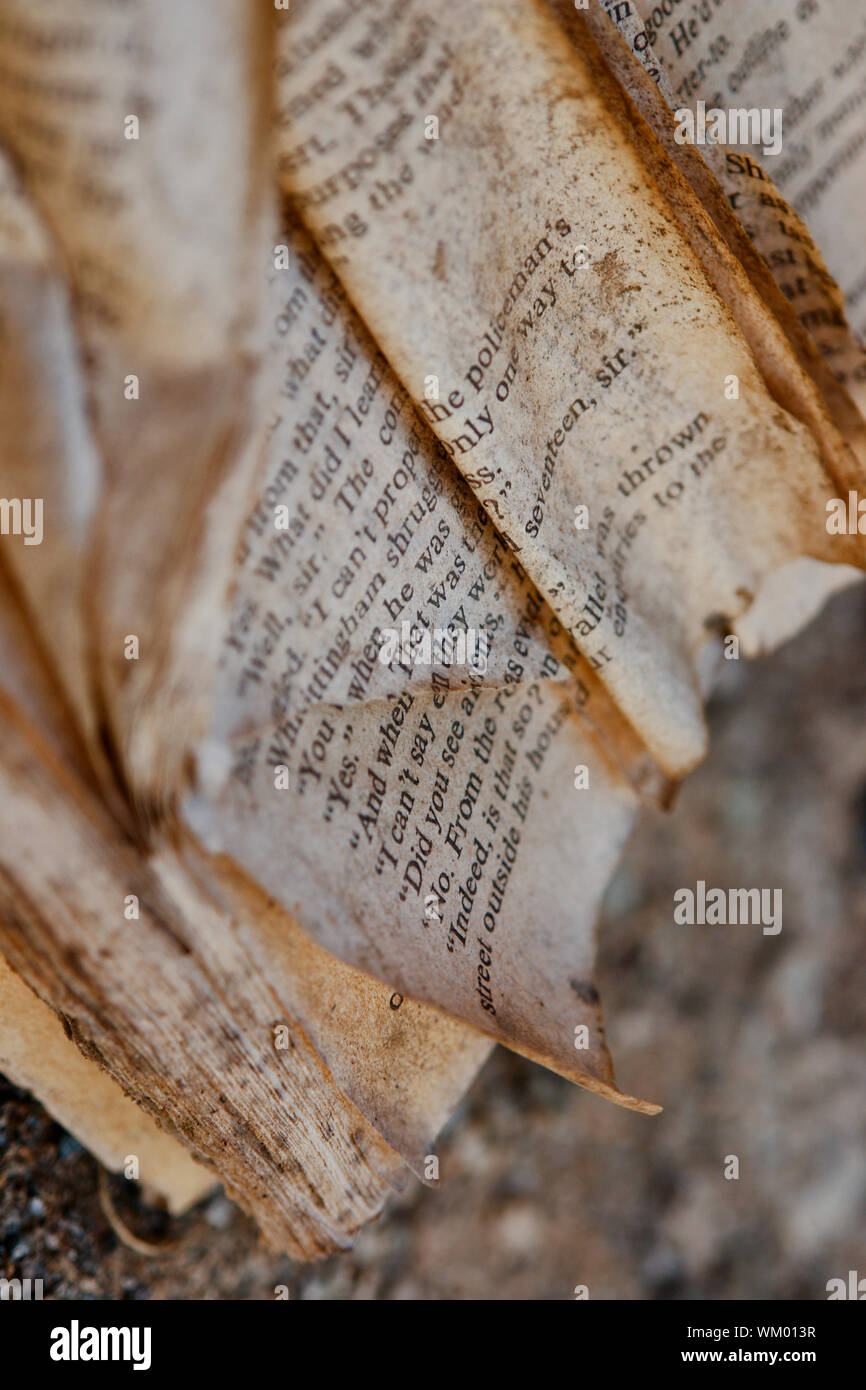 Damaged book page hi-res stock photography and images - Alamy